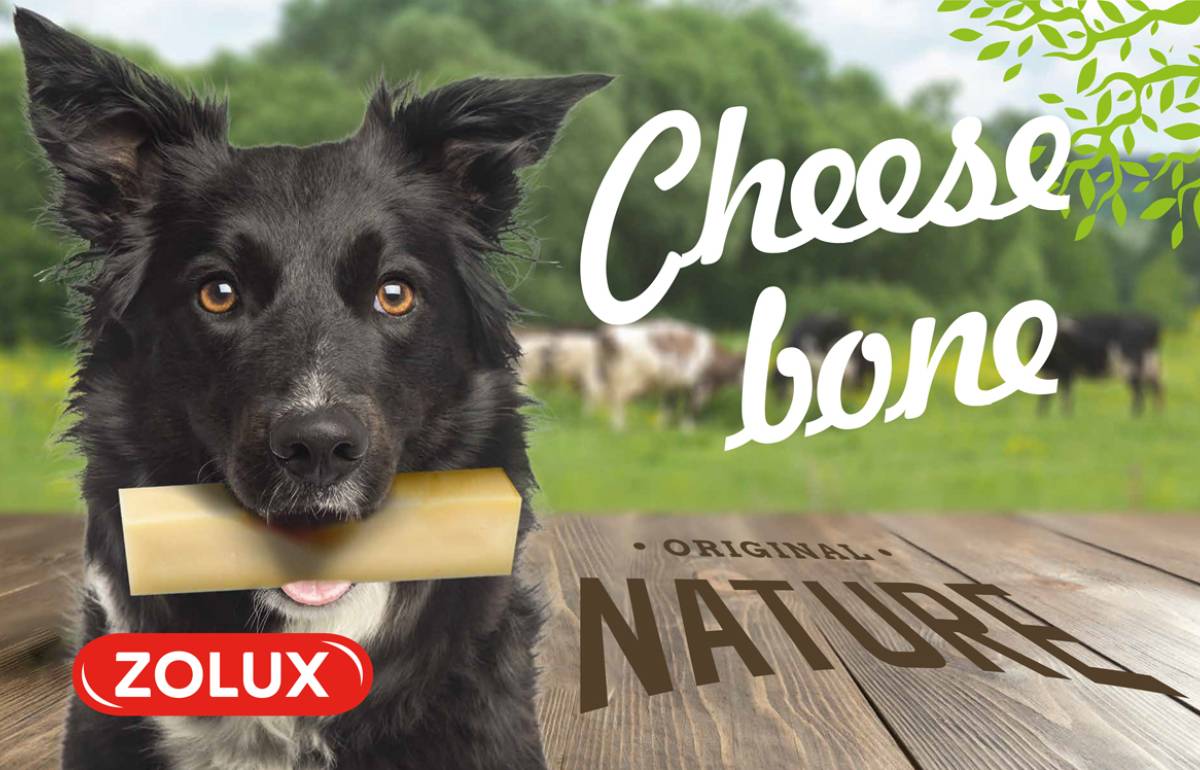 New and Beautiful - Zolux