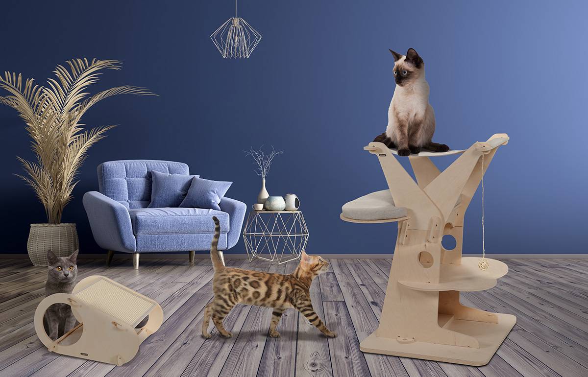 New and Beautiful - Zolux