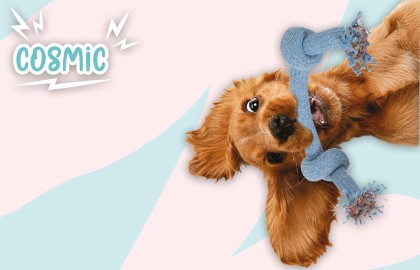 New and Beautiful - Zolux