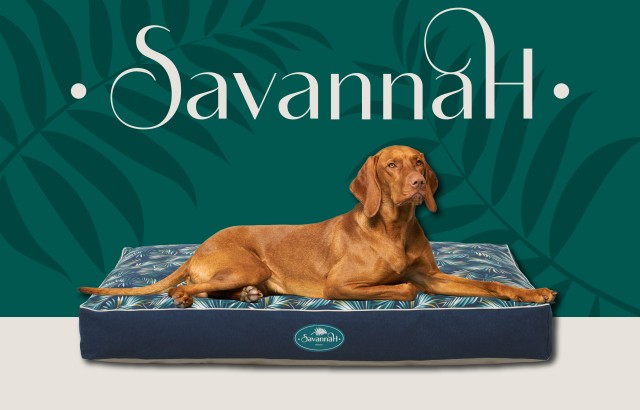 New and Beautiful - Zolux