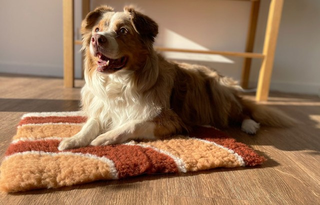 New and Beautiful - Zolux