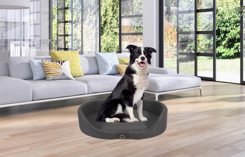 New and Beautiful - Zolux