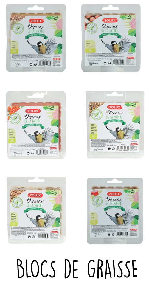 Feeding wild birds - TIPS FROM ZOLUX