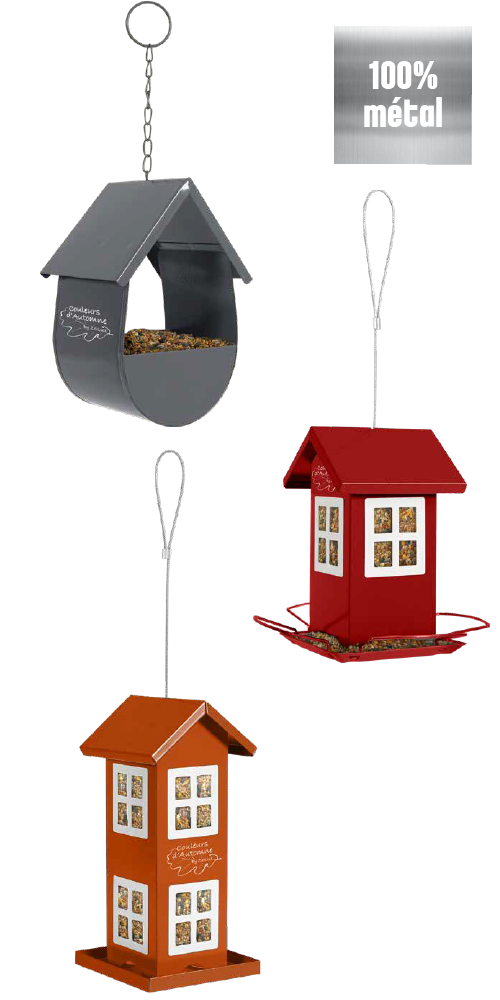 Feeding wild birds - TIPS FROM ZOLUX