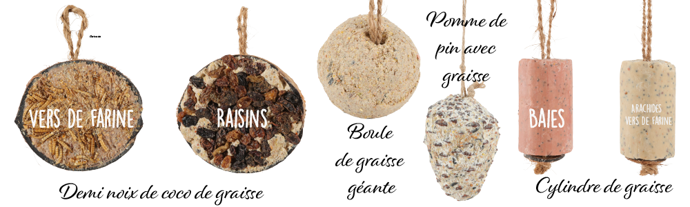 Feeding wild birds - TIPS FROM ZOLUX