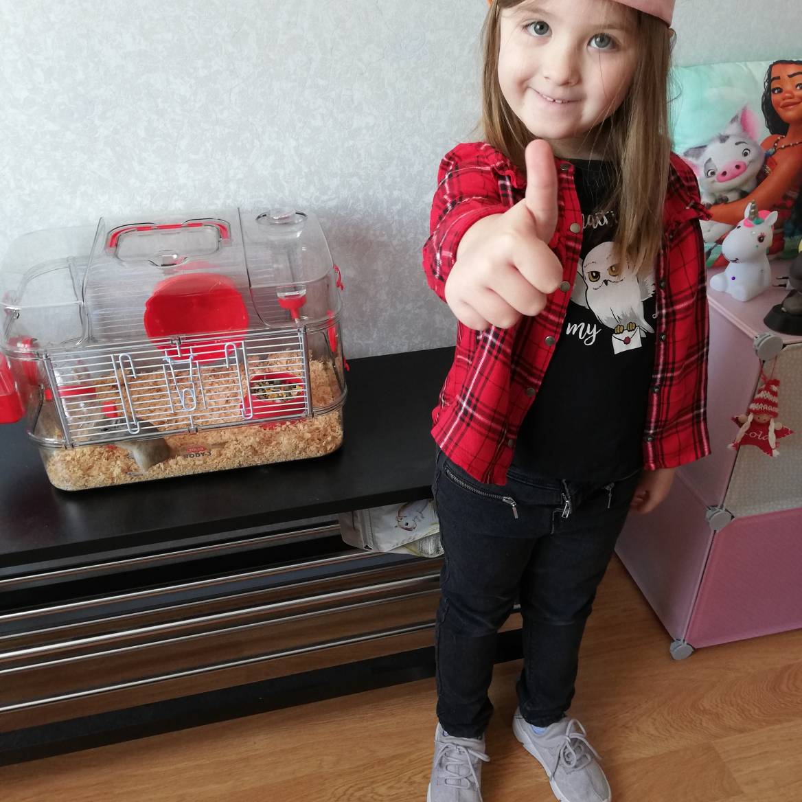 Zolux - Pet shop professional