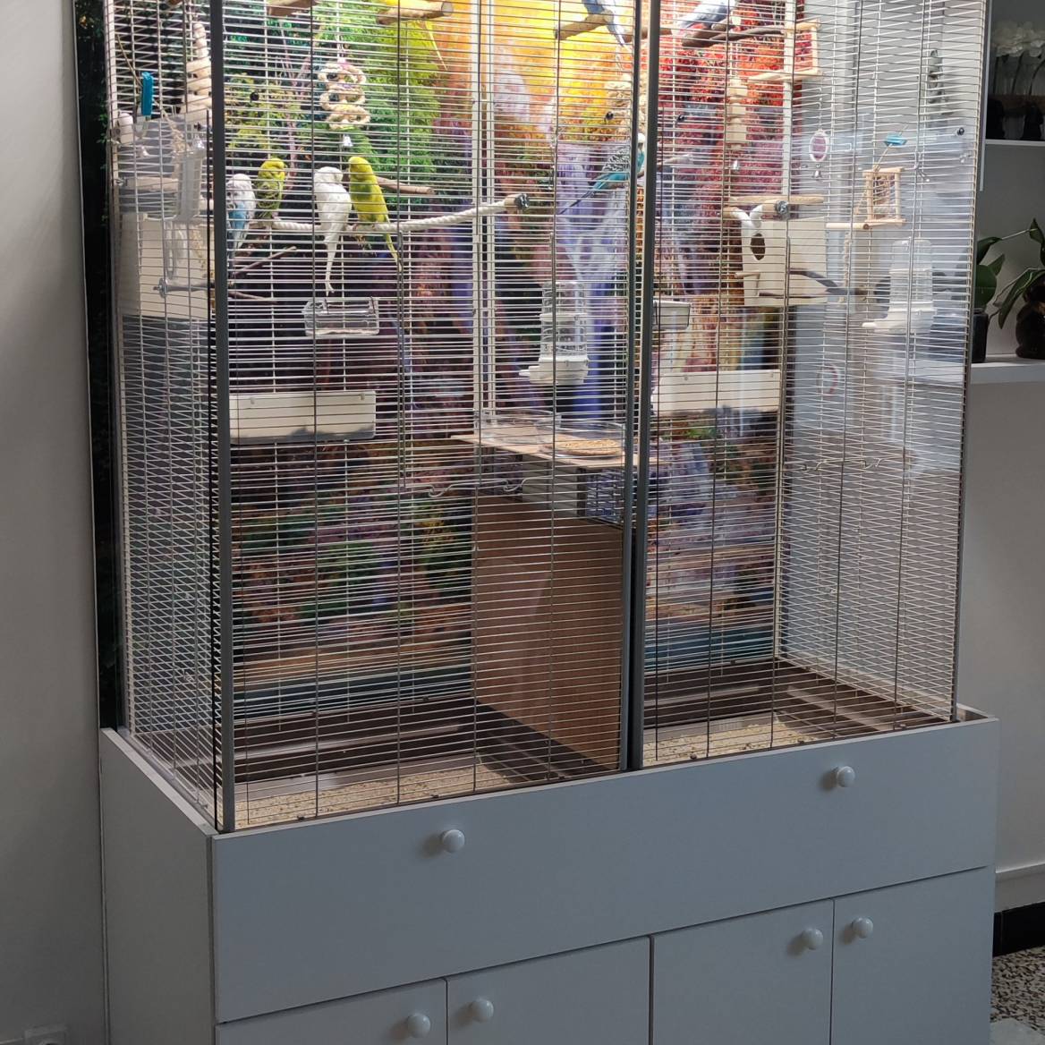 Zolux - Pet shop professional