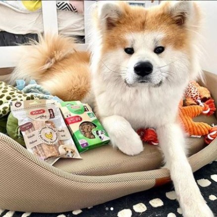 Zolux - Pet shop professional