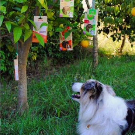 Zolux - Pet shop professional