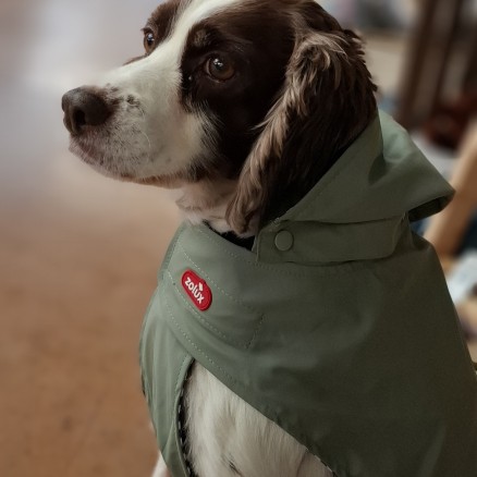 Zolux - Pet shop professional