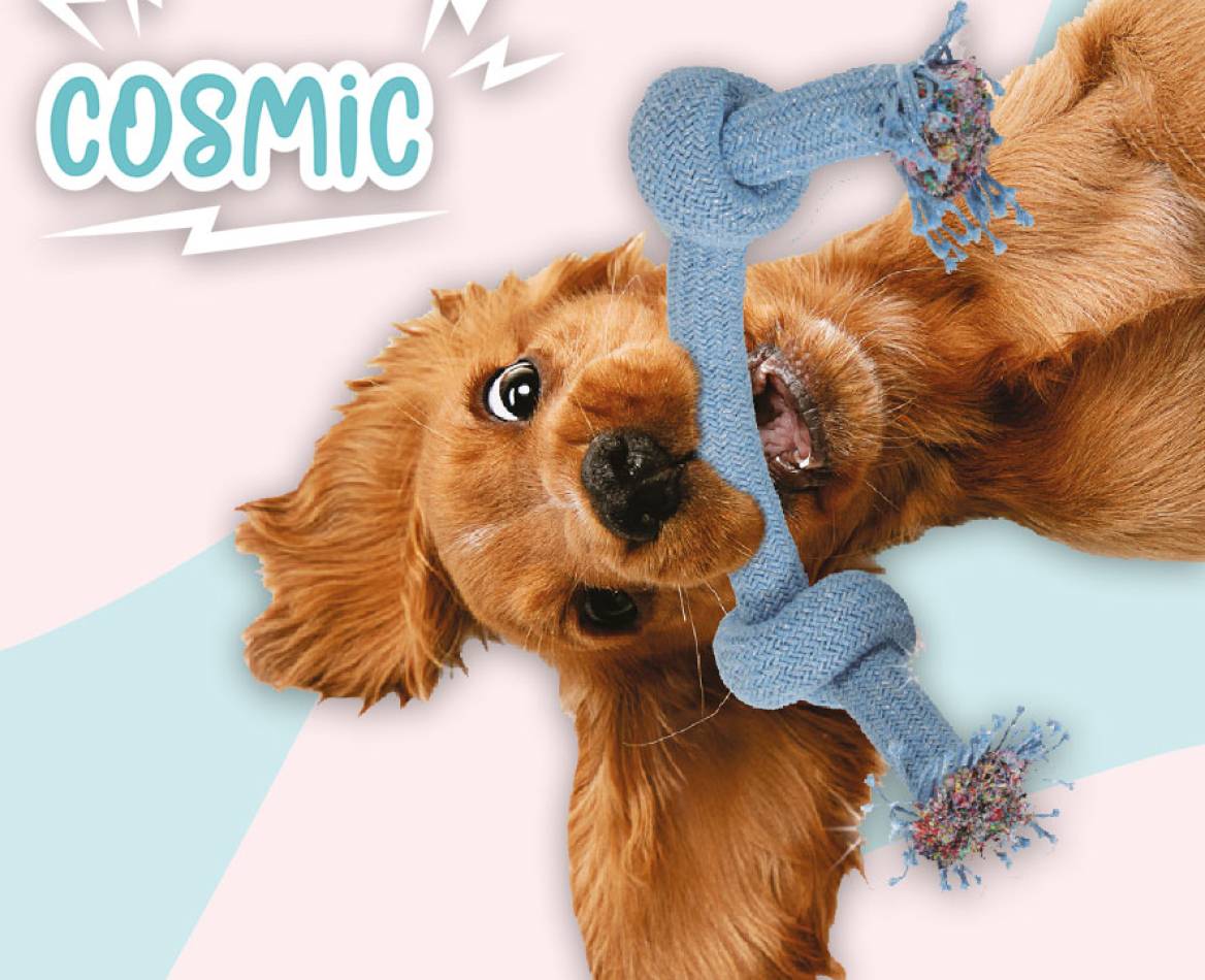 Zolux - Cosmic rope toys