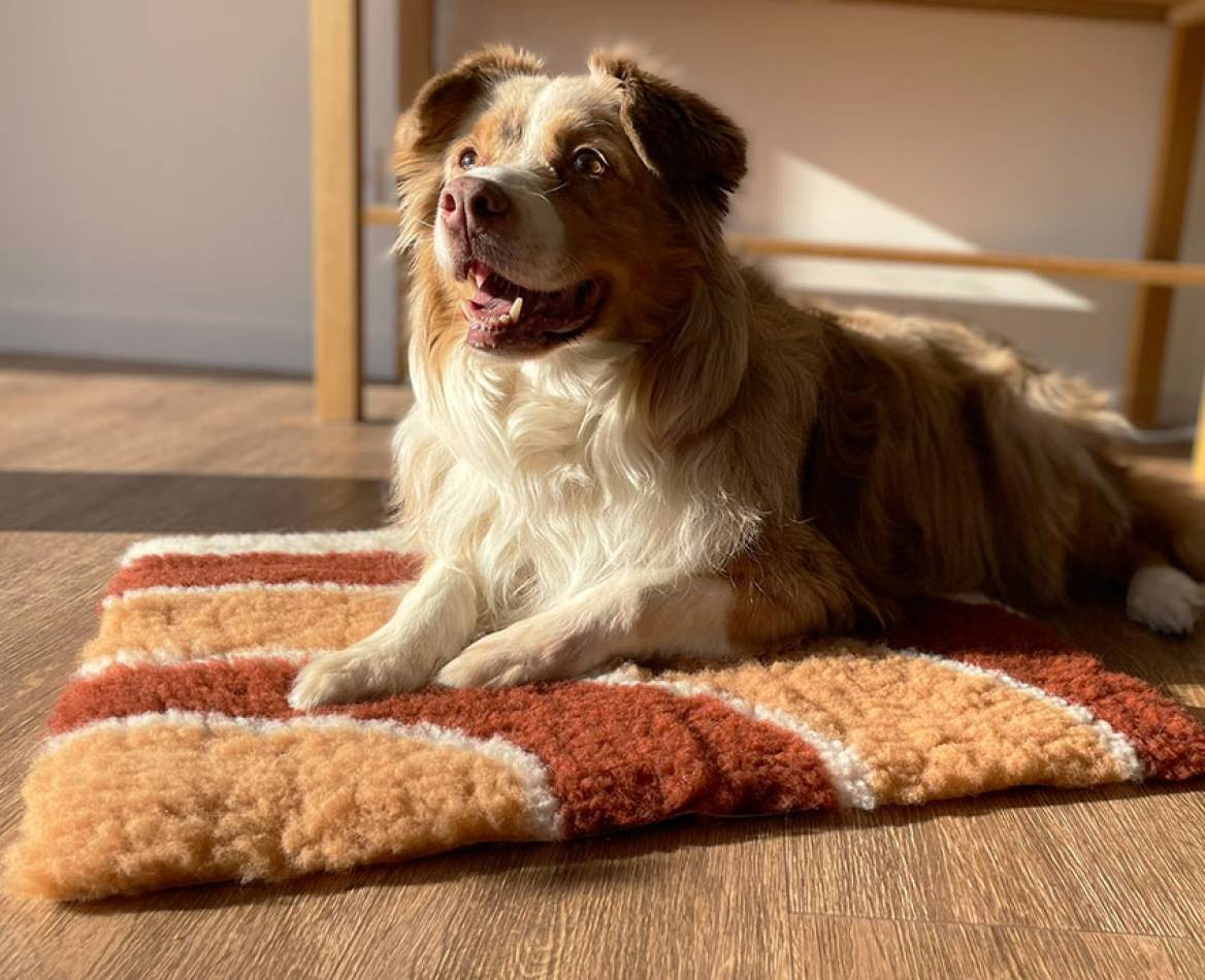Insulating Mats - Dog