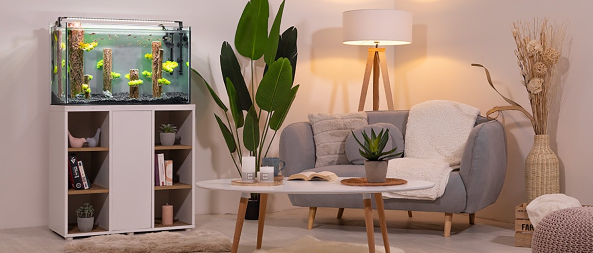 Zolux - Pet shop professional